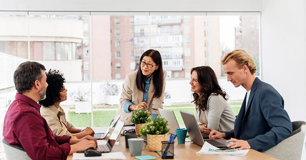 Professional Use - Bublup