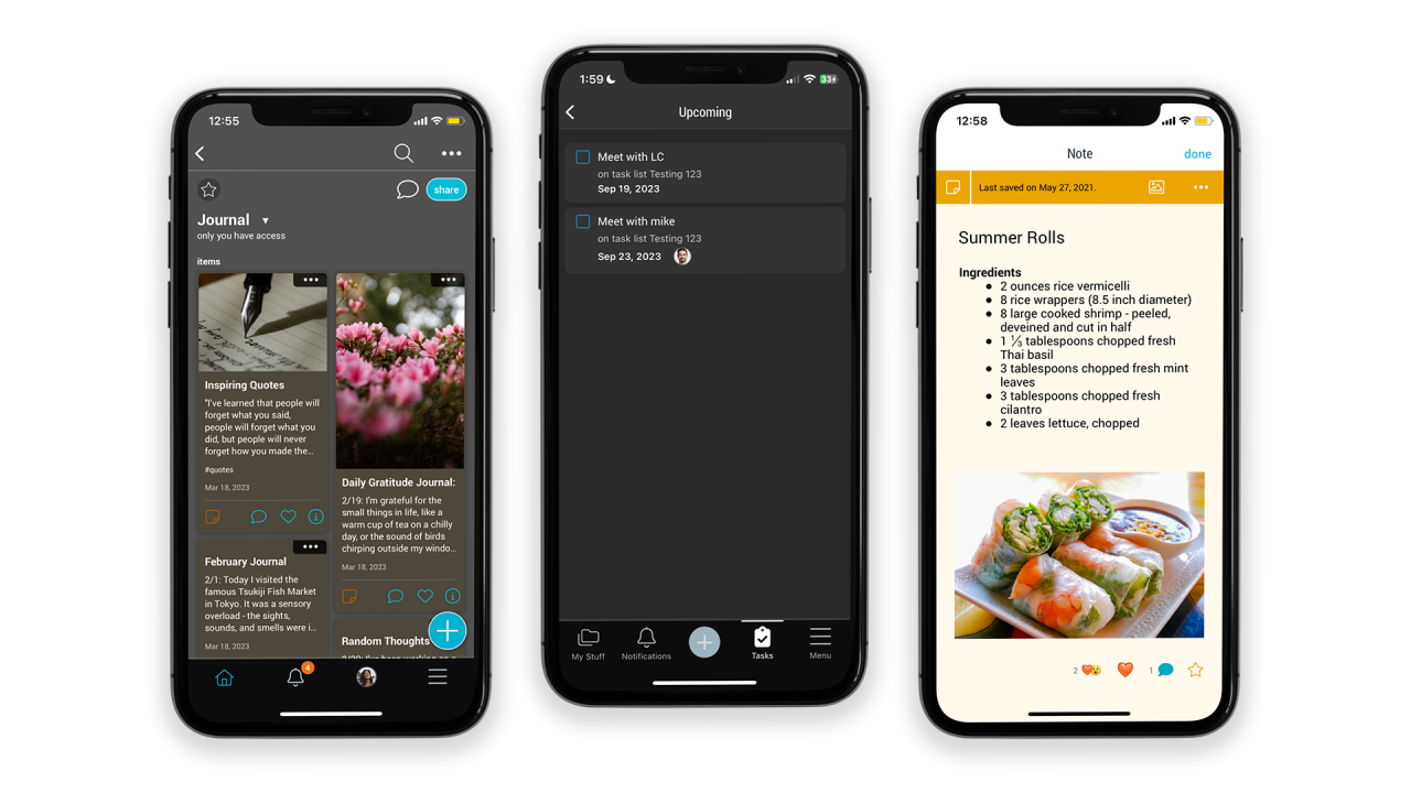 Notes & Task Lists - Bublup